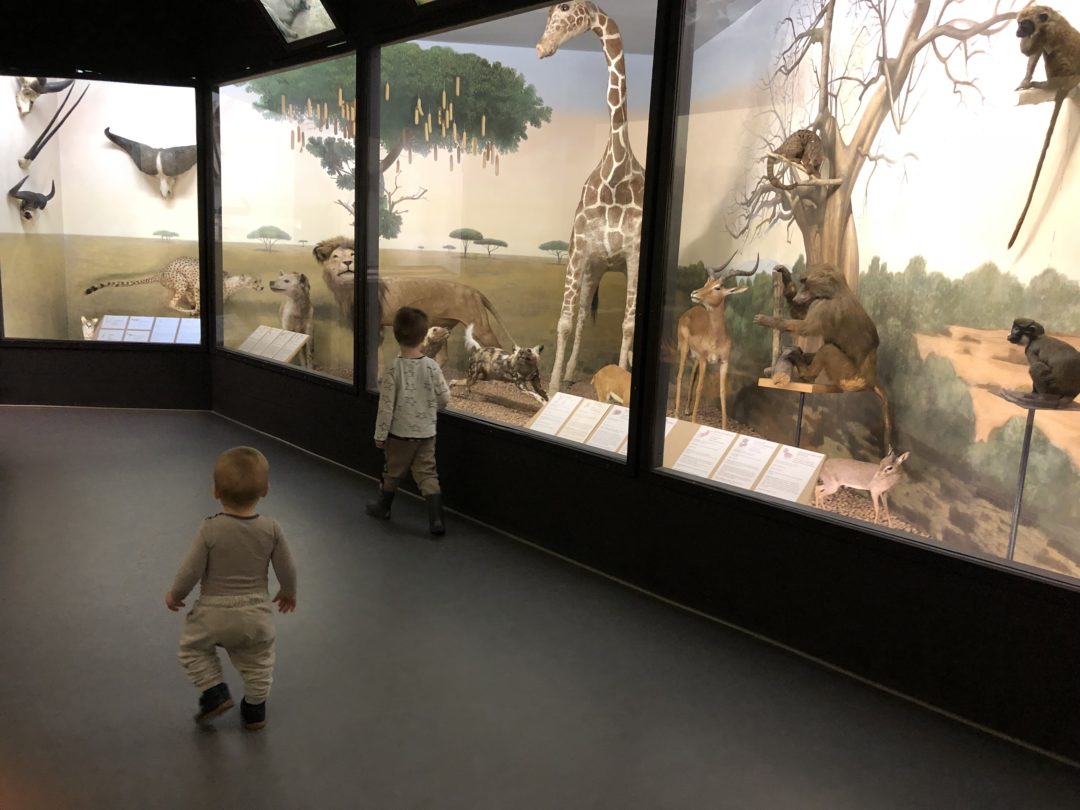 Uz muzeju ar bērniem! | Viens + Viens